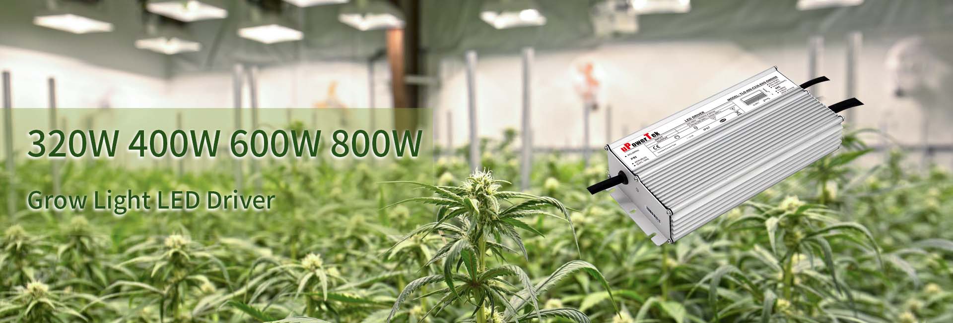 Development status and trend of LED grow lighting industry in China ...