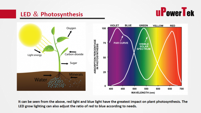 Analysis of the Applications of Grow Light - uPowerTek