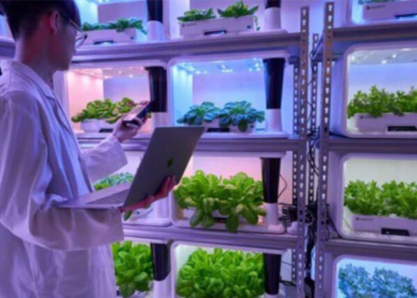 Grow Light Trend - uPowerTek